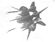 Stingray Interceptor/Cap Ship Interdictor - Wing Commander Encyclopedia