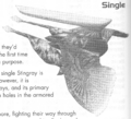 Stingray Interceptor/Cap Ship Interdictor - Wing Commander Encyclopedia